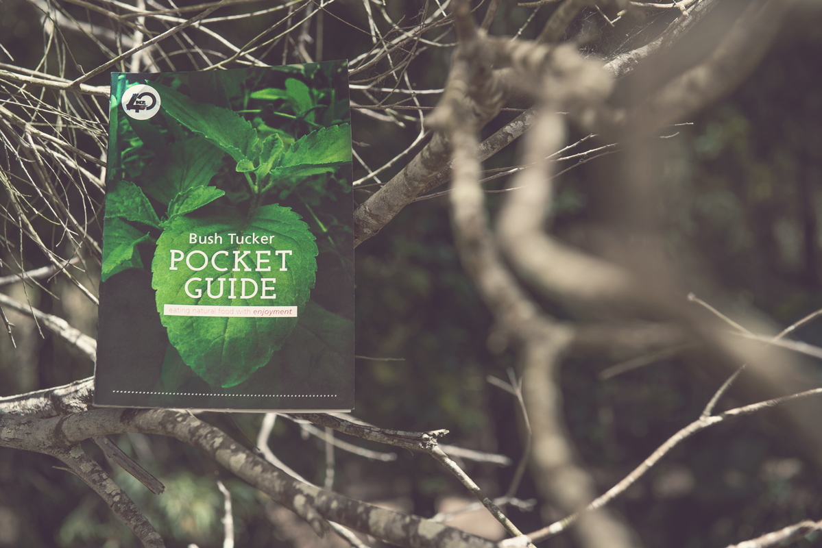 Bush Tucker Pocket Guide | Ool Design